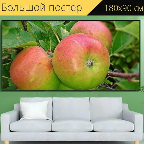 Большой постер "Яблоки, фрукты, еда" 180 x 90 см. для интерьера