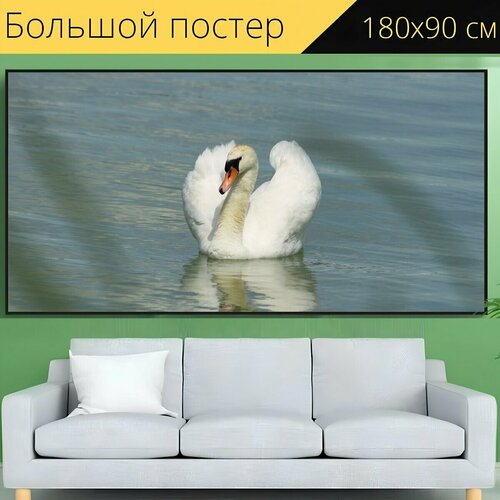 Большой постер "Лебедь, водоплавающая птица, птица" 180 x 90 см. для интерьера