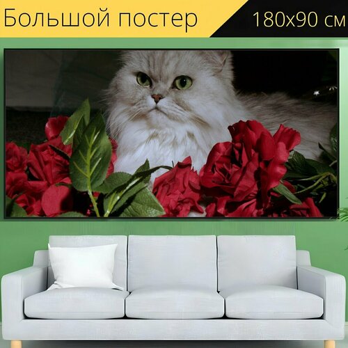 Большой постер "Кот, персы, домашнее животное" 180 x 90 см. для интерьера