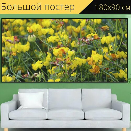 Большой постер "Цветы, блум, полевые цветы" 180 x 90 см. для интерьера