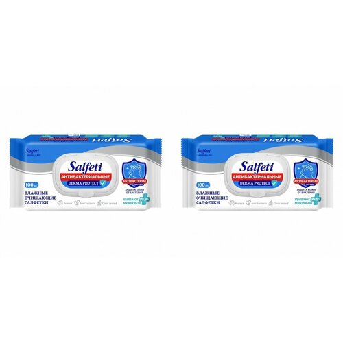 Salfeti antibac №100 влажные салфетки антибактериальные с клапаном,2 шт