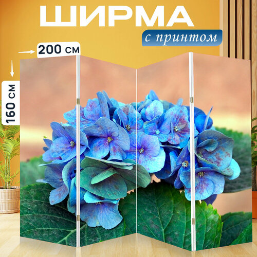 Ширма перегородка с принтом "Гортензия, голубая гортензия, цветы" на холсте - 200x160 см. для зонирования, раскладная