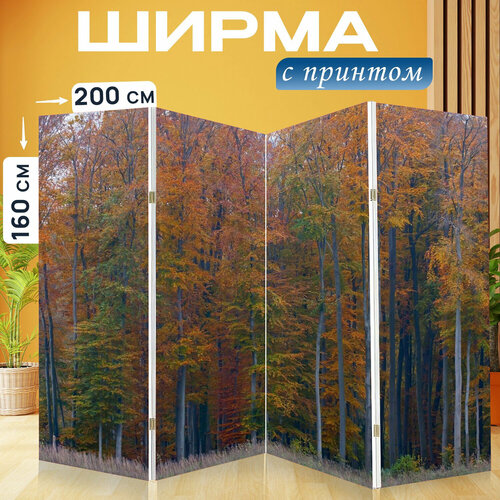Ширма перегородка с принтом "Деревья, лес, осень" на холсте - 200x160 см. для зонирования, раскладная