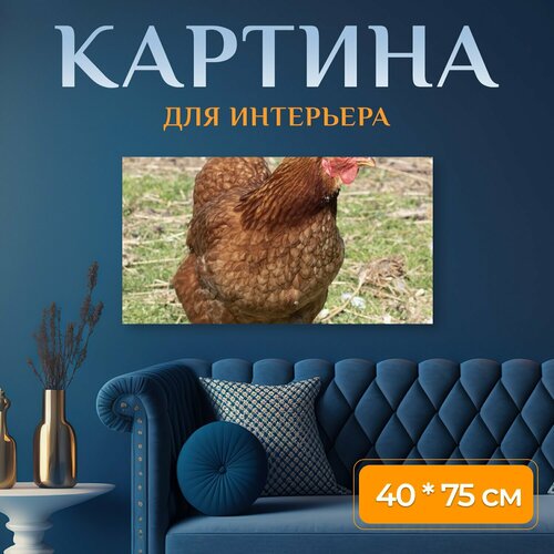 Картина на холсте "Курица, птица, ферма" на подрамнике 75х40 см. для интерьера
