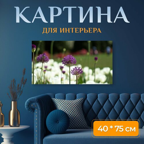 Картина на холсте "Тюльпаны, весна, парк" на подрамнике 75х40 см. для интерьера