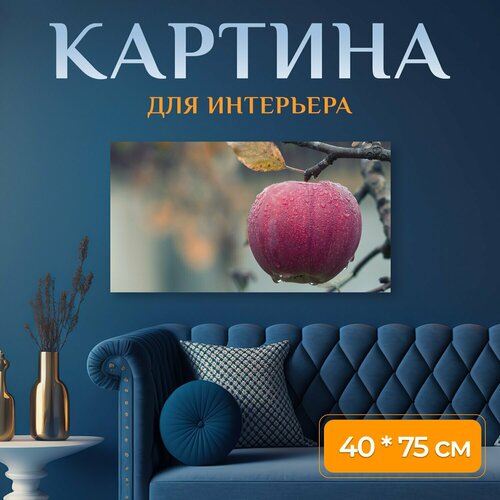 Картина на холсте "Яблоко, капельки воды, фрукты" на подрамнике 75х40 см. для интерьера