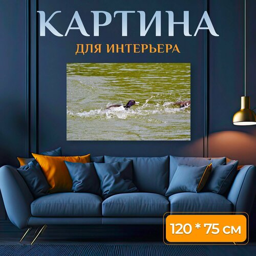 Картина на холсте "Утка, водоплавающая птица, ряд пенсионных" на подрамнике 120х75 см. для интерьера