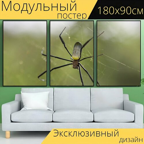 Модульный постер "Паук, насекомое, паукообразный" 180 x 90 см. для интерьера