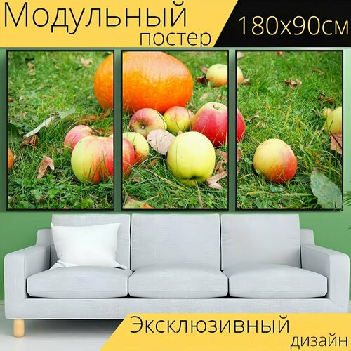 Модульный постер "Тыква, яблоки, сад" 180 x 90 см. для интерьера