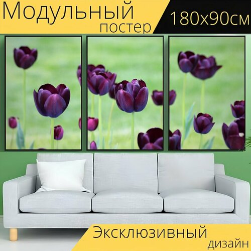 Модульный постер "Черные тюльпаны, весна, цветы" 180 x 90 см. для интерьера
