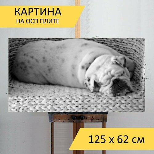 Картина на ОСП 125х62 см. "Собака, спать, бульдог" горизонтальная, для интерьера, с креплениями
