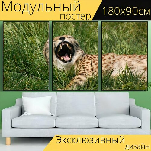 Модульный постер "Гепард, животное, большой кот" 180 x 90 см. для интерьера