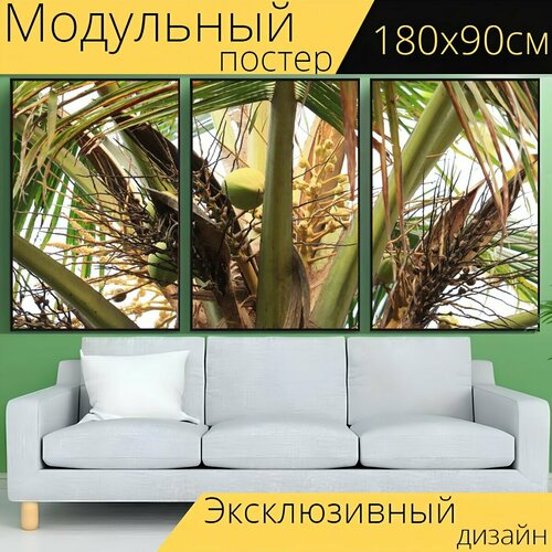 Модульный постер "Керала, пальма, кокосовое дерево" 180 x 90 см. для интерьера