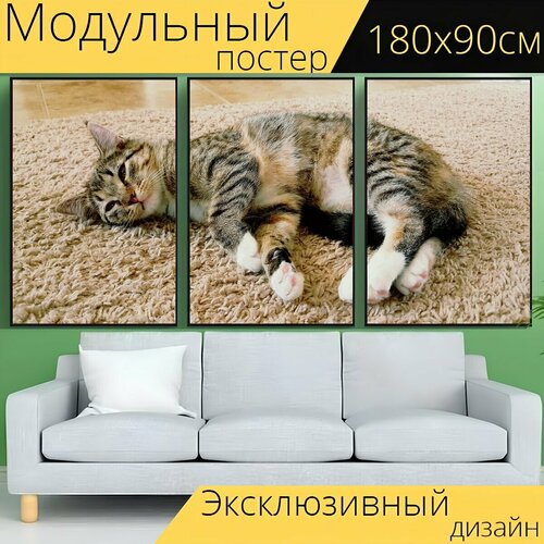 Модульный постер "Котенок, кошка, домашний питомец" 180 x 90 см. для интерьера