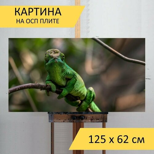 Картина на ОСП 125х62 см. "Фауна, животное, природа" горизонтальная, для интерьера, с креплениями