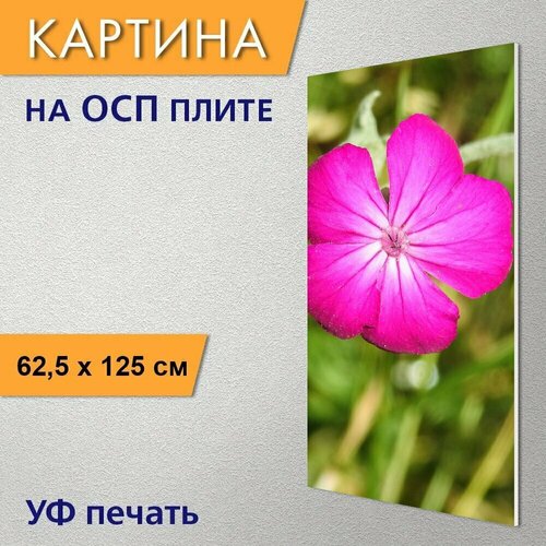 Вертикальная картина на ОСП "Остроконечный цветок, полевой цветок, цвести" 62x125 см. для интерьериа