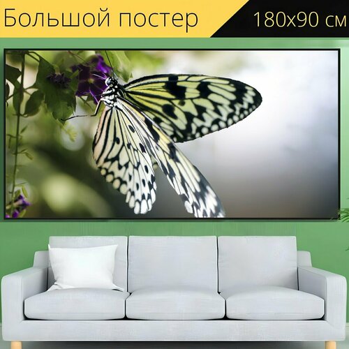 Большой постер "Бабочка, бабочки, экзотические" 180 x 90 см. для интерьера