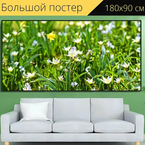 Большой постер "Белый цветок, цветок, цветок весны" 180 x 90 см. для интерьера