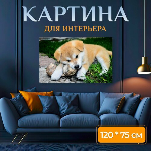 Картина на холсте "Кость, щенок, девушки" на подрамнике 120х75 см. для интерьера