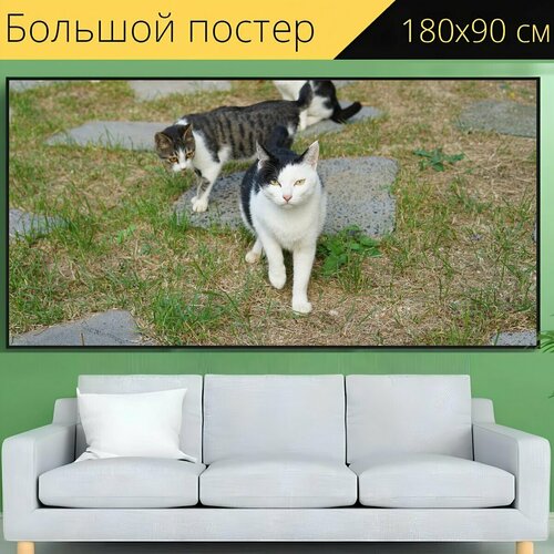 Большой постер "Кот, кошки, кошка" 180 x 90 см. для интерьера