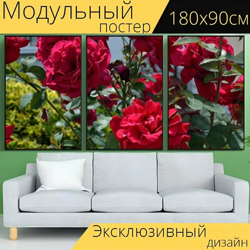 Модульный постер "Красные цветки, цветочный, сад" 180 x 90 см. для интерьера