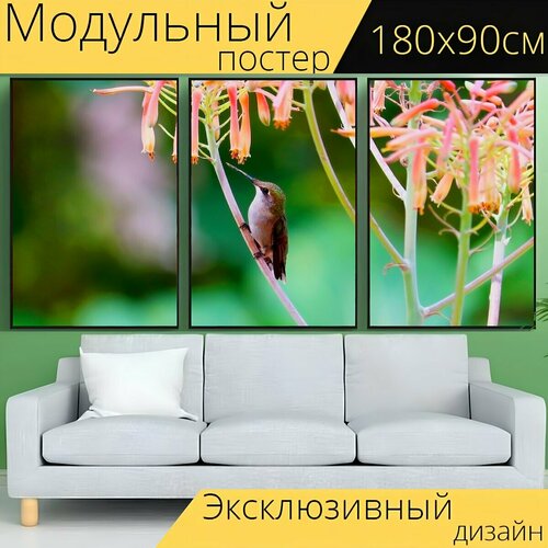 Модульный постер "Колибри, дикая природа, птица" 180 x 90 см. для интерьера