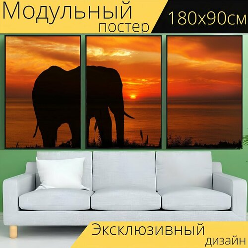 Модульный постер "Слон, заход солнца, силуэт" 180 x 90 см. для интерьера