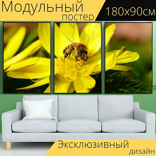 Модульный постер "Пчела, цветок, природа" 180 x 90 см. для интерьера