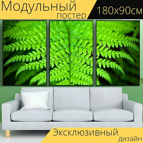 Модульный постер "Папоротник, растения, природа" 180 x 90 см. для интерьера