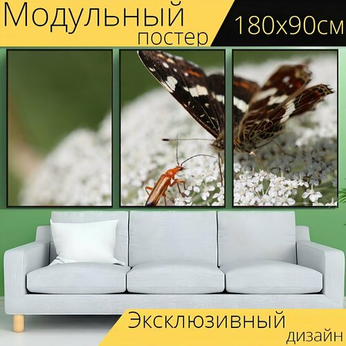 Модульный постер "Бабочка, цветок, насекомое" 180 x 90 см. для интерьера