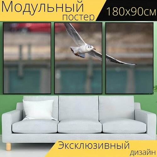 Модульный постер "Черная чайка, летнем наряде, чайка" 180 x 90 см. для интерьера