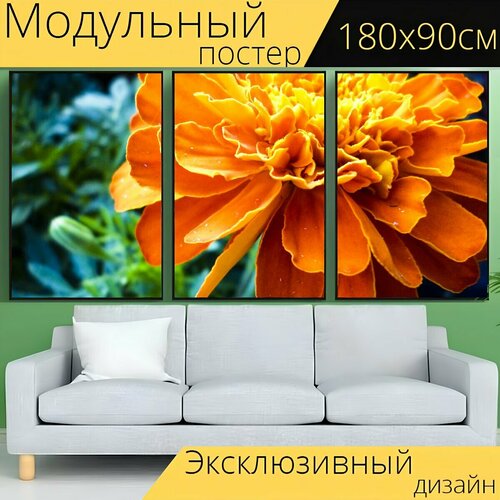 Модульный постер "Цветок, апельсин, блум" 180 x 90 см. для интерьера