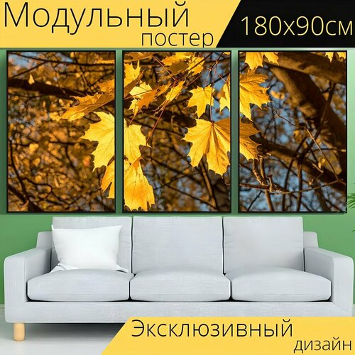 Модульный постер "Листья, осень, природа" 180 x 90 см. для интерьера