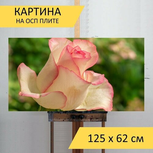 Картина на ОСП 125х62 см. "Цветок, роза, розовый" горизонтальная, для интерьера, с креплениями