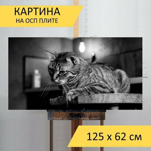 Картина на ОСП 125х62 см. "Кошка, дом, животное" горизонтальная, для интерьера, с креплениями