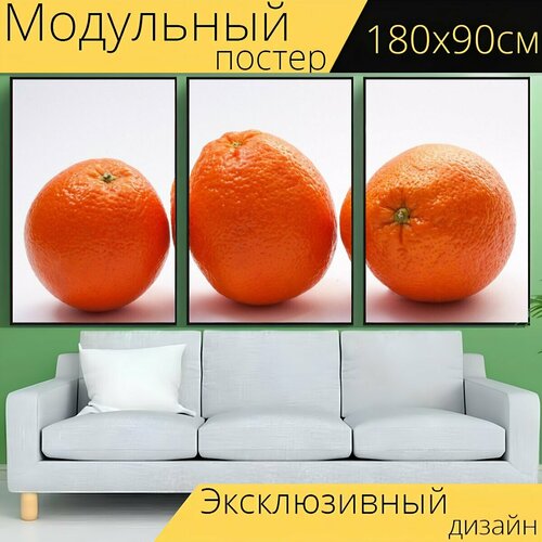 Модульный постер "Бахия апельсины, апельсины, пупок апельсины" 180 x 90 см. для интерьера