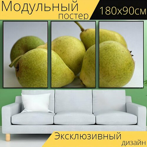 Модульный постер "Груши, естественный, фрукты" 180 x 90 см. для интерьера