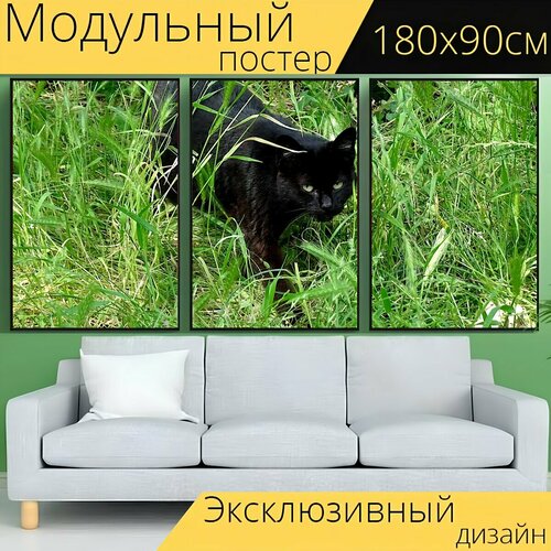 Модульный постер "Кошка, черный кот, кошачьи" 180 x 90 см. для интерьера