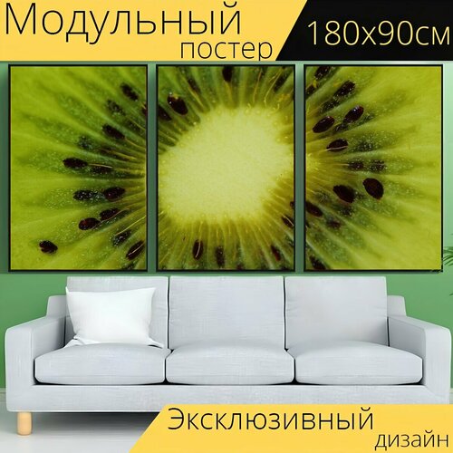Модульный постер "Киви, фрукты, здоровый" 180 x 90 см. для интерьера