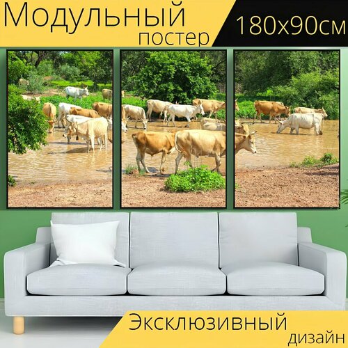 Модульный постер "Коровы, ручей, крупный рогатый скот" 180 x 90 см. для интерьера