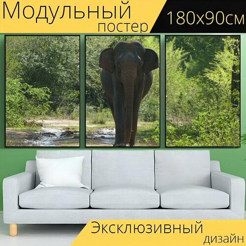 Модульный постер "Слон, тропический лес, национальный парк" 180 x 90 см. для интерьера