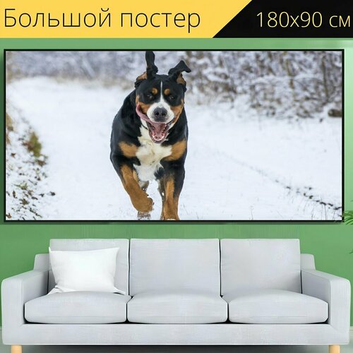 Большой постер "Снег, большая собака, запустить" 180 x 90 см. для интерьера