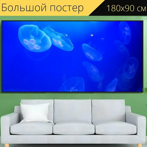 Большой постер "Медузы, природа, аквариум" 180 x 90 см. для интерьера