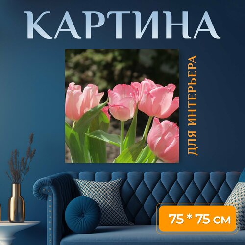 Картина на холсте "Тюльпаны, цветок, розовый" на подрамнике 75х75 см. для интерьера