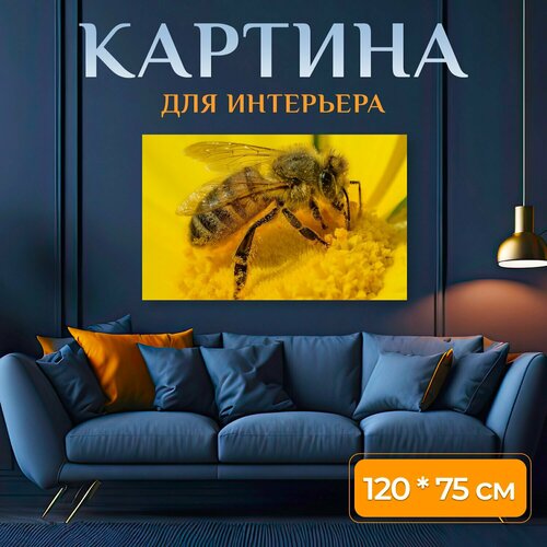 Картина на холсте "Пчела, желтый, насекомое" на подрамнике 120х75 см. для интерьера