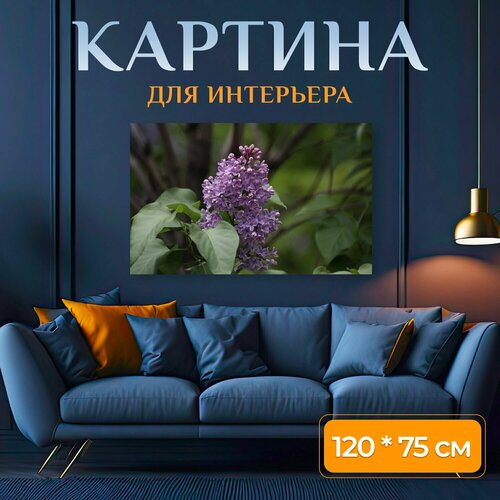 Картина на холсте "Сирень, цветение, сад" на подрамнике 120х75 см. для интерьера