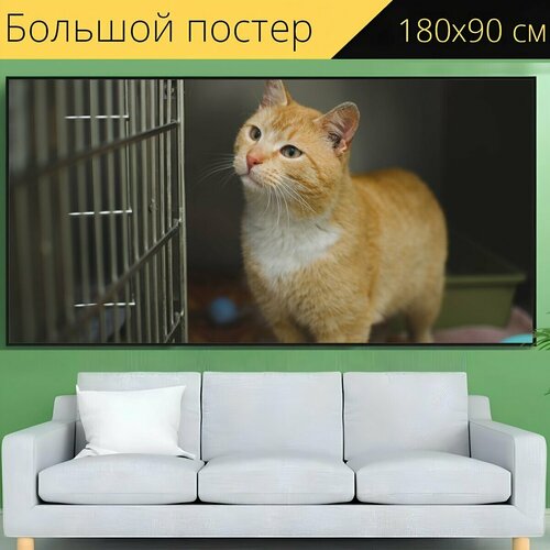 Большой постер "Домашняя кошка, кошачьи глаза, рыжий кот" 180 x 90 см. для интерьера