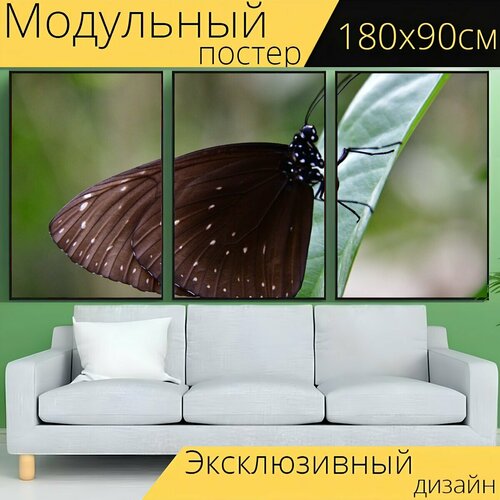 Модульный постер "Бабочка, красочный, насекомое" 180 x 90 см. для интерьера
