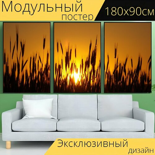 Модульный постер "Кукурузные поля, силуэты, заход солнца" 180 x 90 см. для интерьера