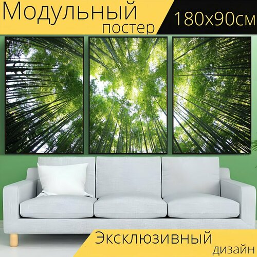 Модульный постер "Деревья, перспектива, солнечный свет" 180 x 90 см. для интерьера